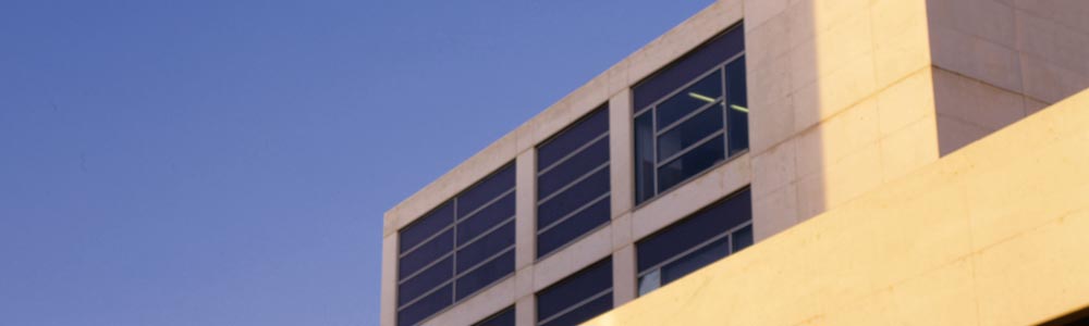 UPV|Curso:LEAN MANUFACTURING SEIS SIGMA YELLOW BELT enero-2026